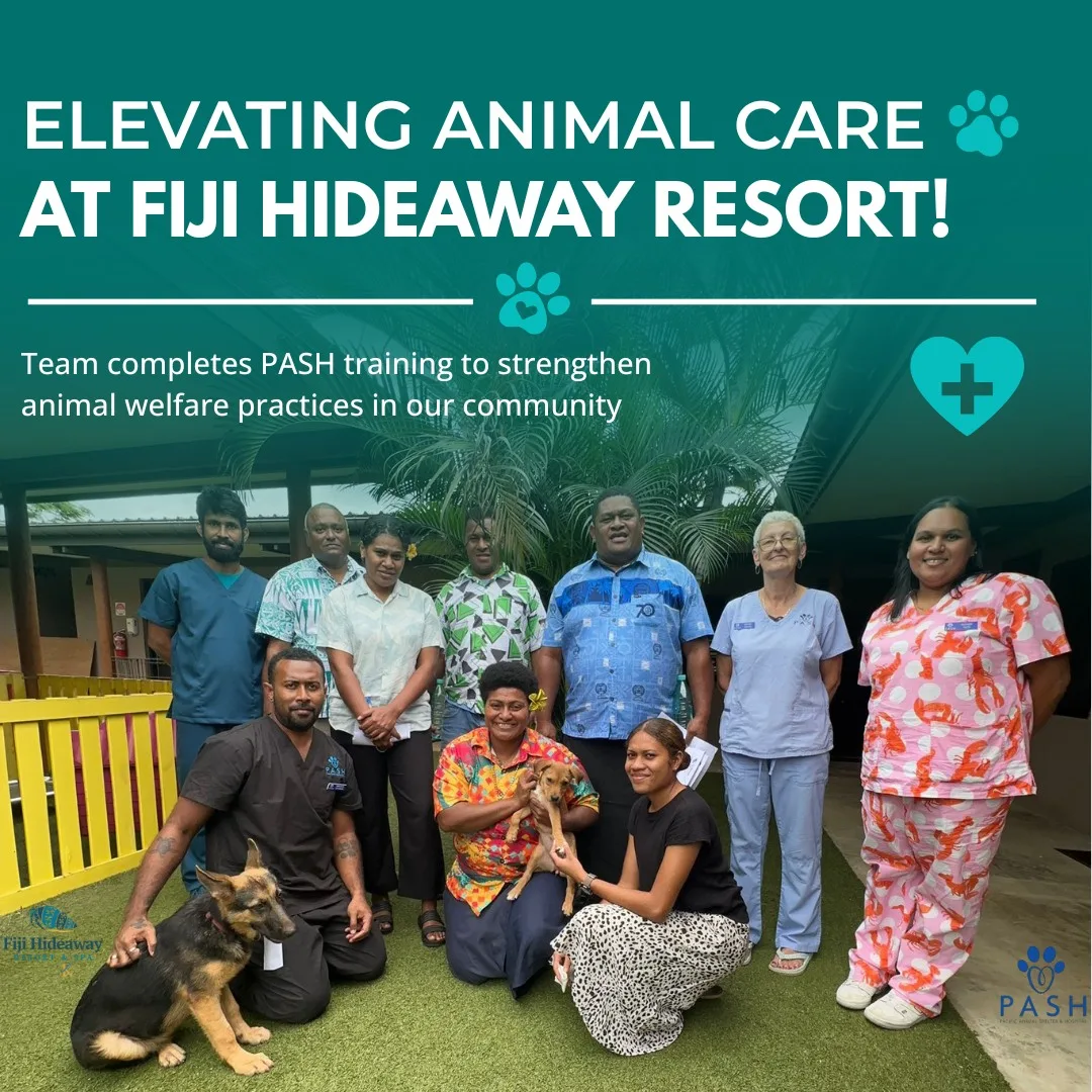 A Paw-sitive Partnership: Hideaway Resort and PASH Team Up for Animal ...